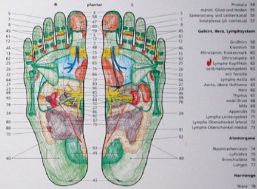 Fußreflexzonenmassage | Naturheilpraxis Regina Uilderks